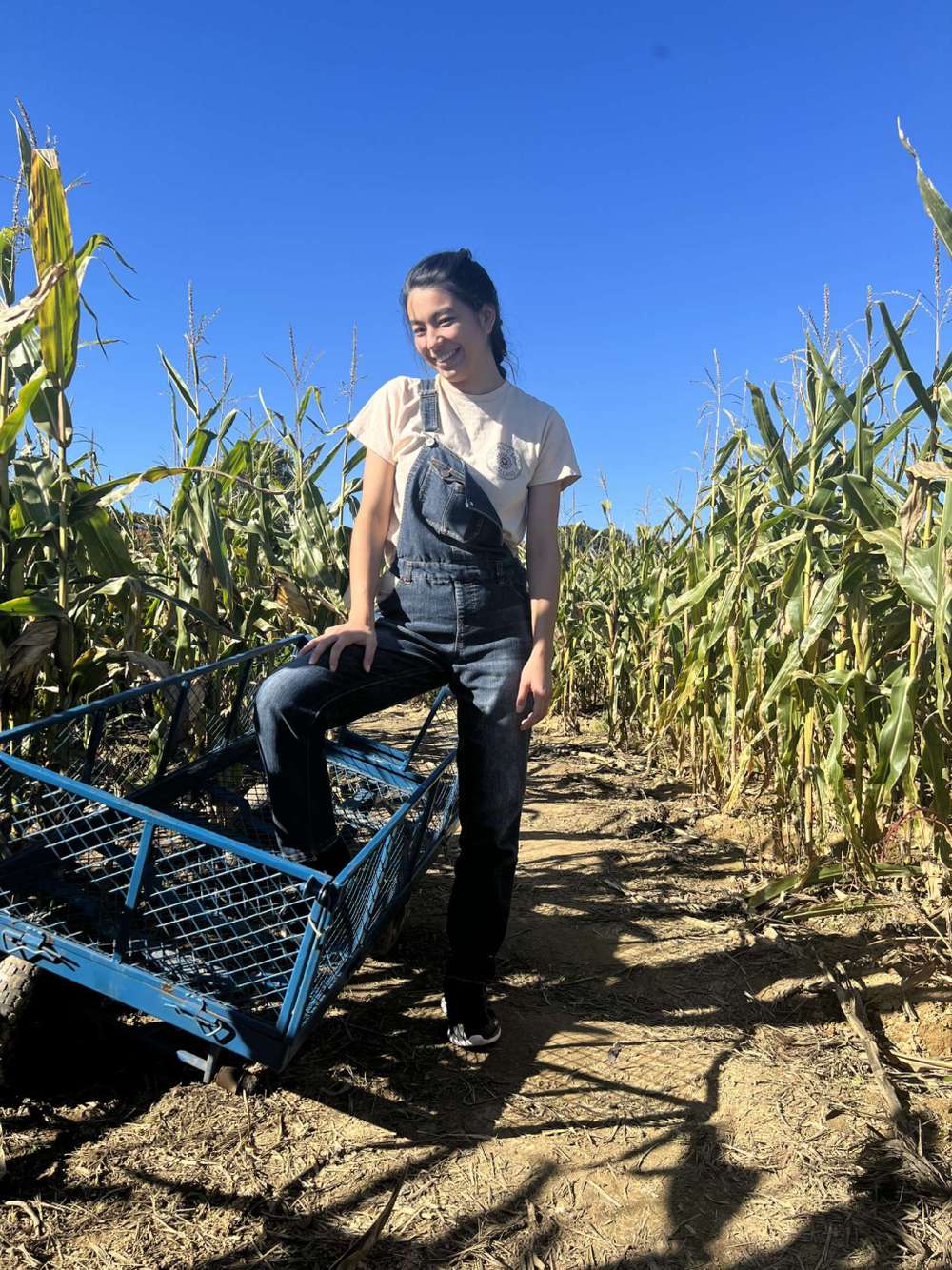 SigmaCamp 2024: Counselors | SigmaCamp